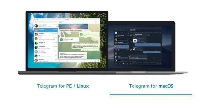 Follow these 5 steps to verify telegram account - Plugaweb